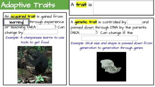 Evolving Species Project and Interactive Digital Notebook | TPT