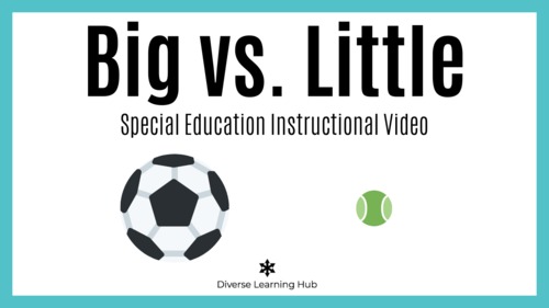 Big vs. Little - Special Education Distance Learning Lesson | TpT