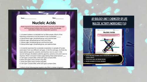 AP Biology UNIT 1 Chemistry of Life 1.6 Nucleic Acids MCQ Worksheet