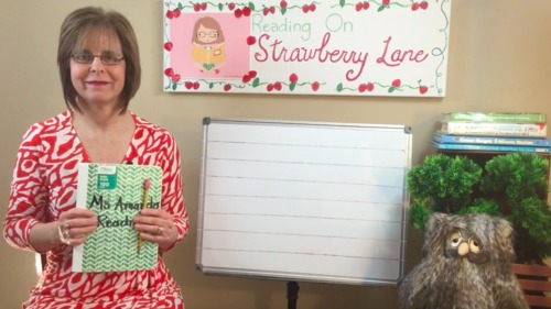 VIDEO: Reading: Set 1. Lesson 35. Word Family Pattern -ig | TPT