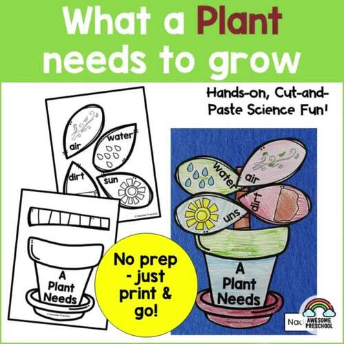 What a Plant Needs to Grow Craft Preschool Science Cut and Paste Activity