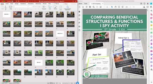 Comparing Structures and Functions I Spy Adaptations Activity | STAAR ...