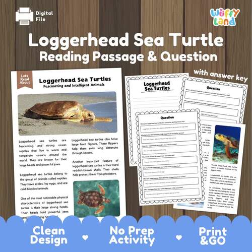 Loggerhead Sea Turtle Reading Passage and Questions Worksheets by Wuffyland