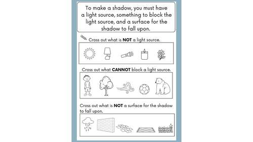 Shadows! Science and Groundhog Day Worksheet Fun by Moose Goose | TPT