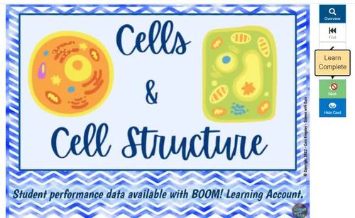 Cell Organelles With Functions Boom Cards by Science with Cara | TPT