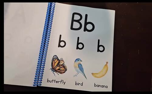 My Alphabet Book/Learn Alphabet Sounds For Early Readers | TPT