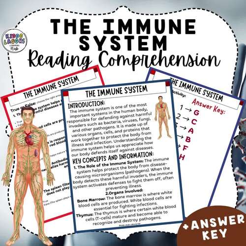 The Immune System Reading Comprehension Worksheet | Body Systems Activity