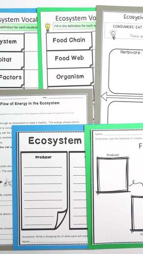 Ecosystem and Ecology Activities | 5-LS2-1 Ecosystems by Teaching Muse