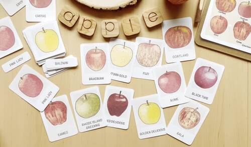 Apple Varieties Flash Cards – 3-Part Montessori Nomenclature Cards