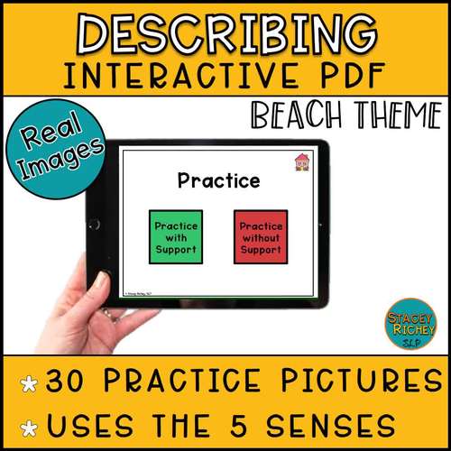 Beach Theme Speech Therapy Describing Pictures Digital Resource ...