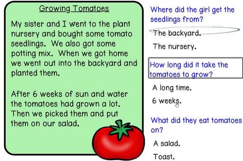 Reading Comprehension (Set 1) - Boom Cards | TPT