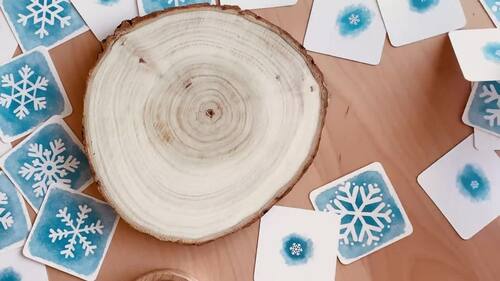Snowflakes Study Activity Montessori Winter Snow Visual Cards by ...