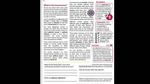 Viruses & Vaccines: The Human Body - Exponential Growth with Graphs ...