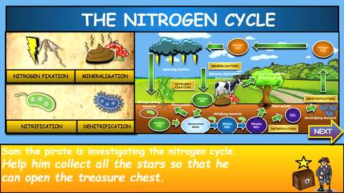 Biogeochemical Cycles: Big Bundle: 5 Google Slides Presentations ...