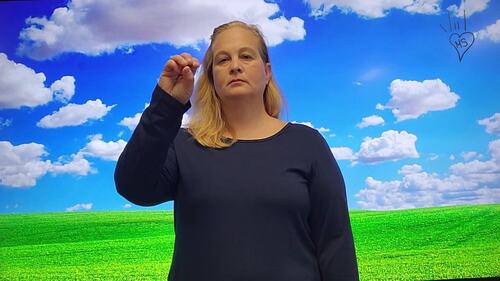 ASL Fingerspelling Video 21 by Melissa Sexton | TPT