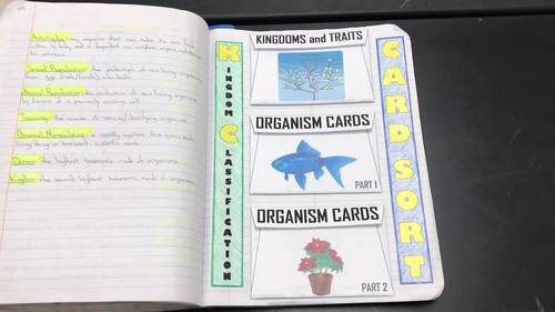 Science Journal: Kingdom Classification Card Sort by Travis Terry