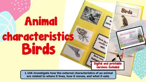 Birds by Cloud Ten | TPT