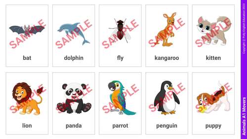 Animal Flash Card Set (Movers) by Polly English Resources | TPT