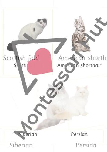 15 Cat Breeds Montessori 3 Part Cards | Educational Flashcard ...