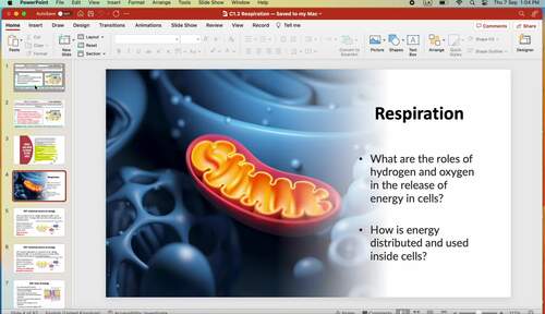 IB Biology C1.2: Respiration (first exams in 2025) by Engaging Science ...