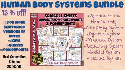 Human Body Systems Doodle Notes & Quizzes Bundle w/PowerPoints | TpT