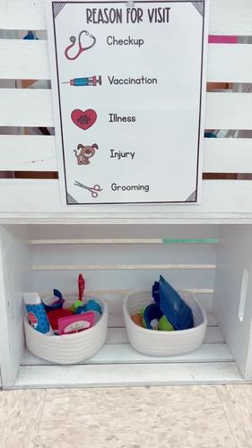 Veterinarian Dramatic Play by Primary and Sunshine | TpT