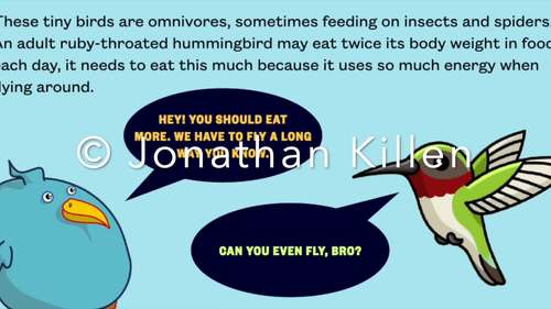 Young Geniuses: The Hummingbird - Online Learning | TpT