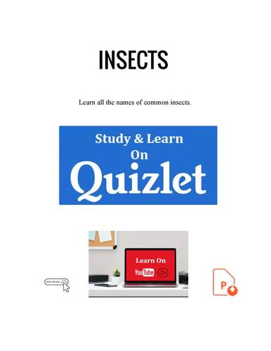 Insects Vocabulary ESL EFL Science ELA PPTx Nature Earth | TPT