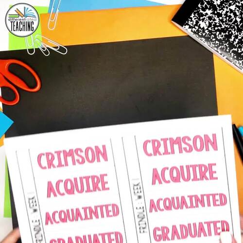 Frindle Novel Study Comprehension Activities, Chapter Questions ...