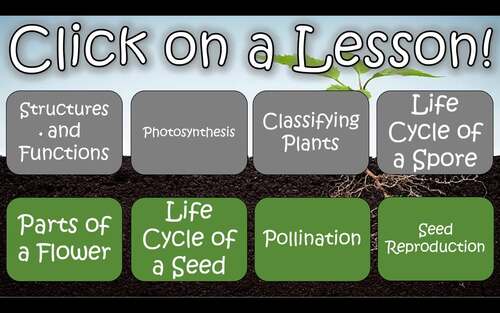 Plants Review (Animated and Narrated PowerPoint) Life Cycle, Parts of ...