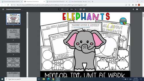 Second Grade Elephant Animal Research Informational Writing Graphic ...