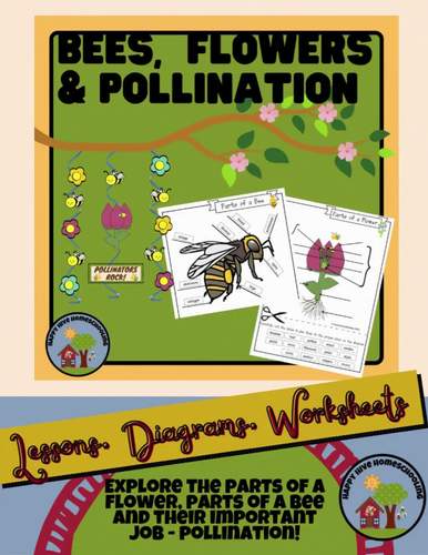 Bees, Flowers and Pollination - Diagrams Worksheets by Happy Hive ...