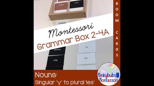 Montessori Grammar Box 2-4A BOOM Singular Plural Nouns Add 'ies ...