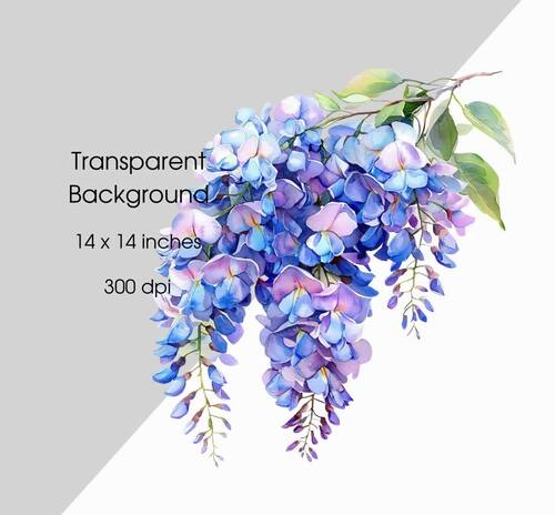 Watercolor Wisteria Clipart, Spring Flowers Borders, Botanical Wedding ...