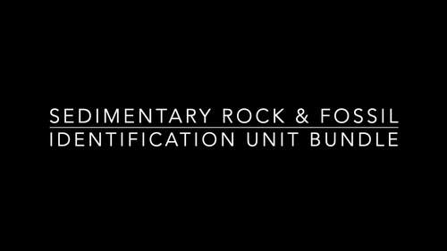 Sedimentary Rock Identification and Fossil Identification Bundle