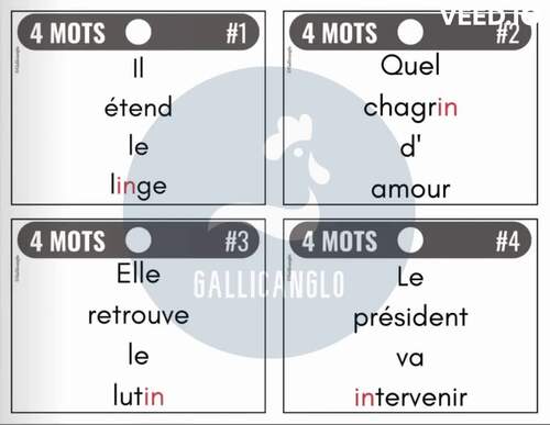FRENCH Lecture et fluence Reading fluency practice VOL5 digraphe IN ...