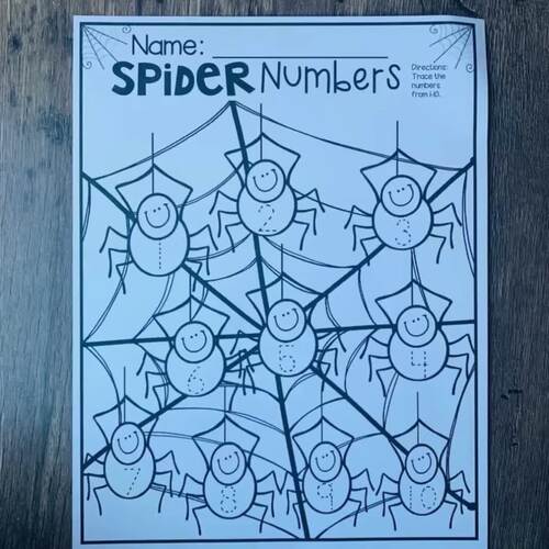 Spider and Bat Math and Literacy Worksheets Halloween Preschool Activities