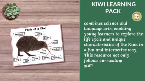 Kiwi Bird Life Cycle Parts of Kiwi: Montessori 3 Part Cards ...