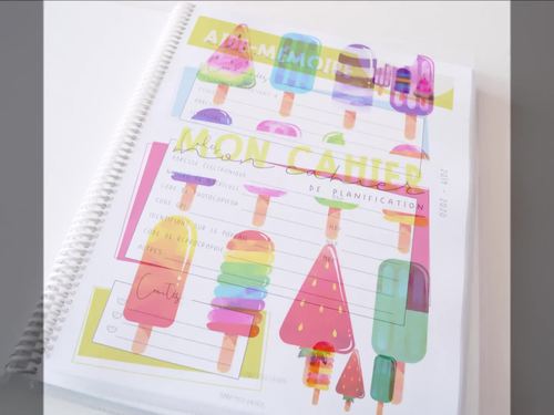 Cahier de planification 2019-2020 (FRENCH TEACHER PLANNER) | TpT