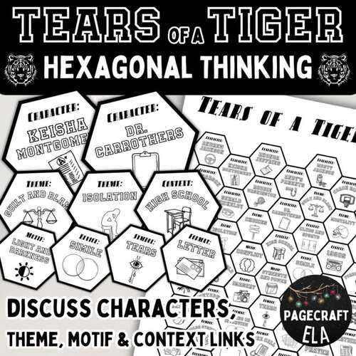 Tears of a Tiger Hexagonal Thinking Diagram | Character, Theme, Context ...