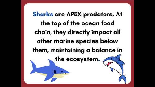 Did You Know ? Shark Facts. Printable & Digital Informational Text for kids