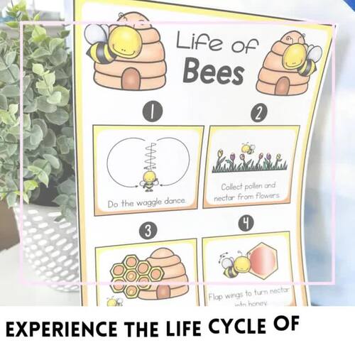 Beekeeper Bee Farm Dramatic Play with Honey Store Dramatic Play by ...