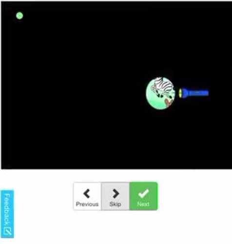 I SPY IN THE JUNGLE! ( using flashlight) Distance Learning | TPT