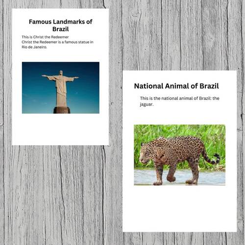 Brazil Bundle for Kids | Brazil Country Study & Geography Activities