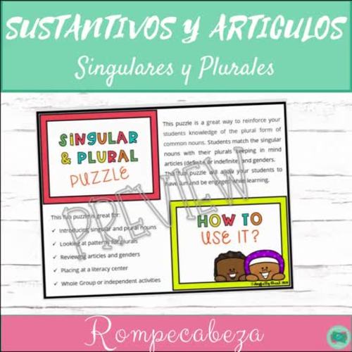 Spanish singular and plural nouns by Joyfully Dual | TPT