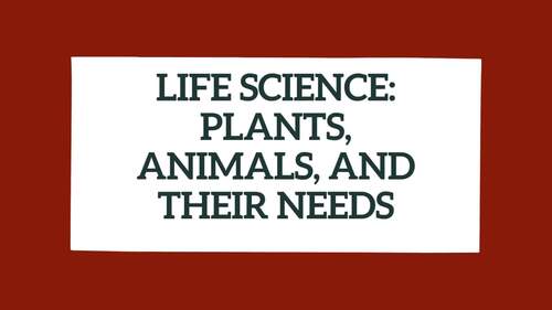 Grade 3 Science: Life, Physical and Earth Science Full year BUNDLE - NGSS