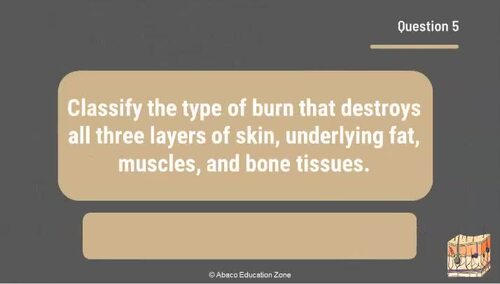 Skin Burns Digital and Print Activity by Abaco Education Zone | TPT