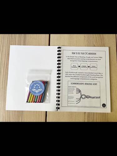 Short Vowel CVC Word and Sentence Practice | Decoding & Encoding ...