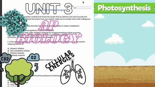 AP Biology Curriculum | Unit 3 50 Multiple Choice | Cellular Energetics