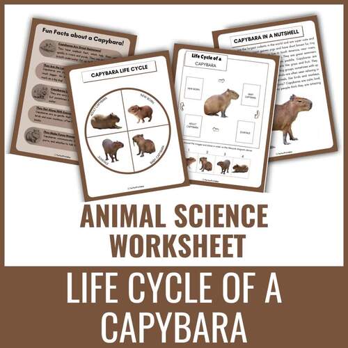 Life Cycle of a Capybara Worksheet | Rodents/Animals Unit Study With ...